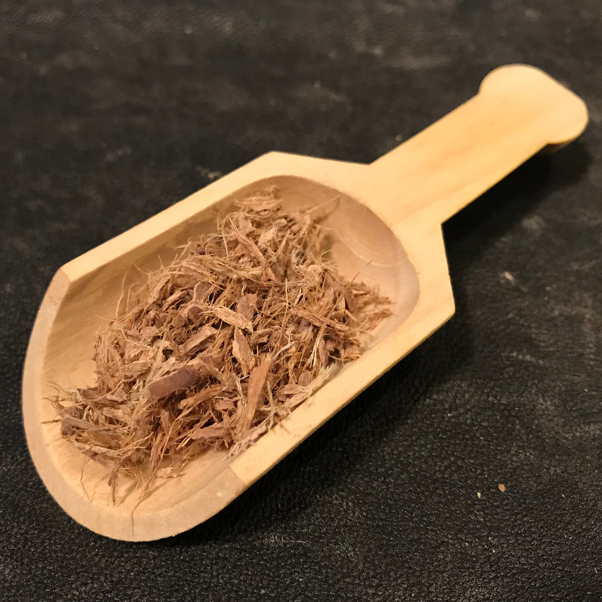 Bayberry Root - Myrica cerifera L. – 6Witch3