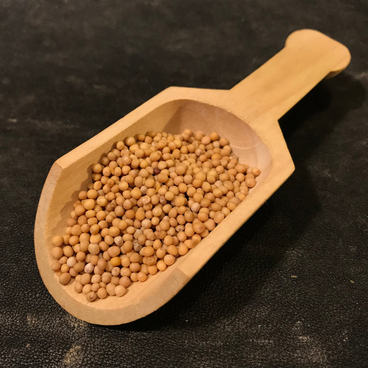 Mustard Seed Yellow / White - B. hirta/Sinapis alba – 6Witch3